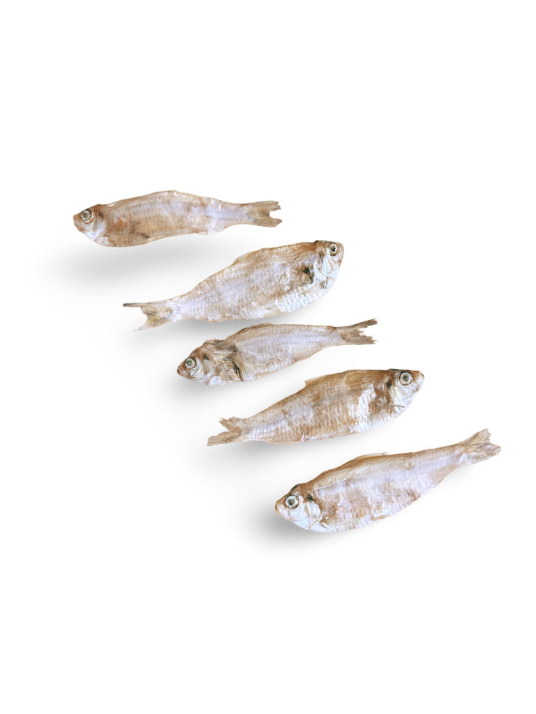 Dehydrated Anchovies - Jokia Pte. Ltd.